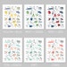 Mint Alphabet Sign / Wall Art Print / Letters, Animal ALPHABET Poster ...