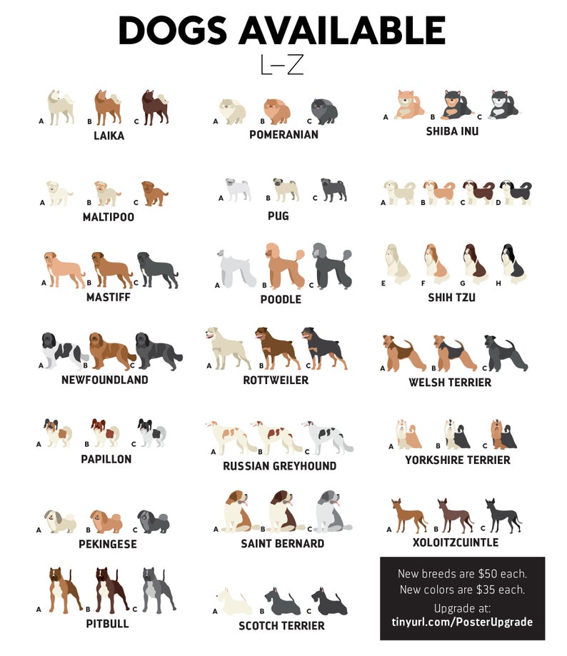 Personalized Paddleboard Sign Woman Paddleboarding With - Etsy