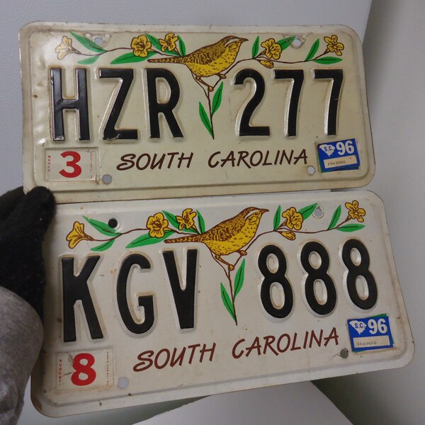 South Carolina Vintage Plates - Etsy