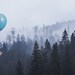 Misty Mountain Forest in Blue and Navy Nuances Wall Mural, Mountain ...