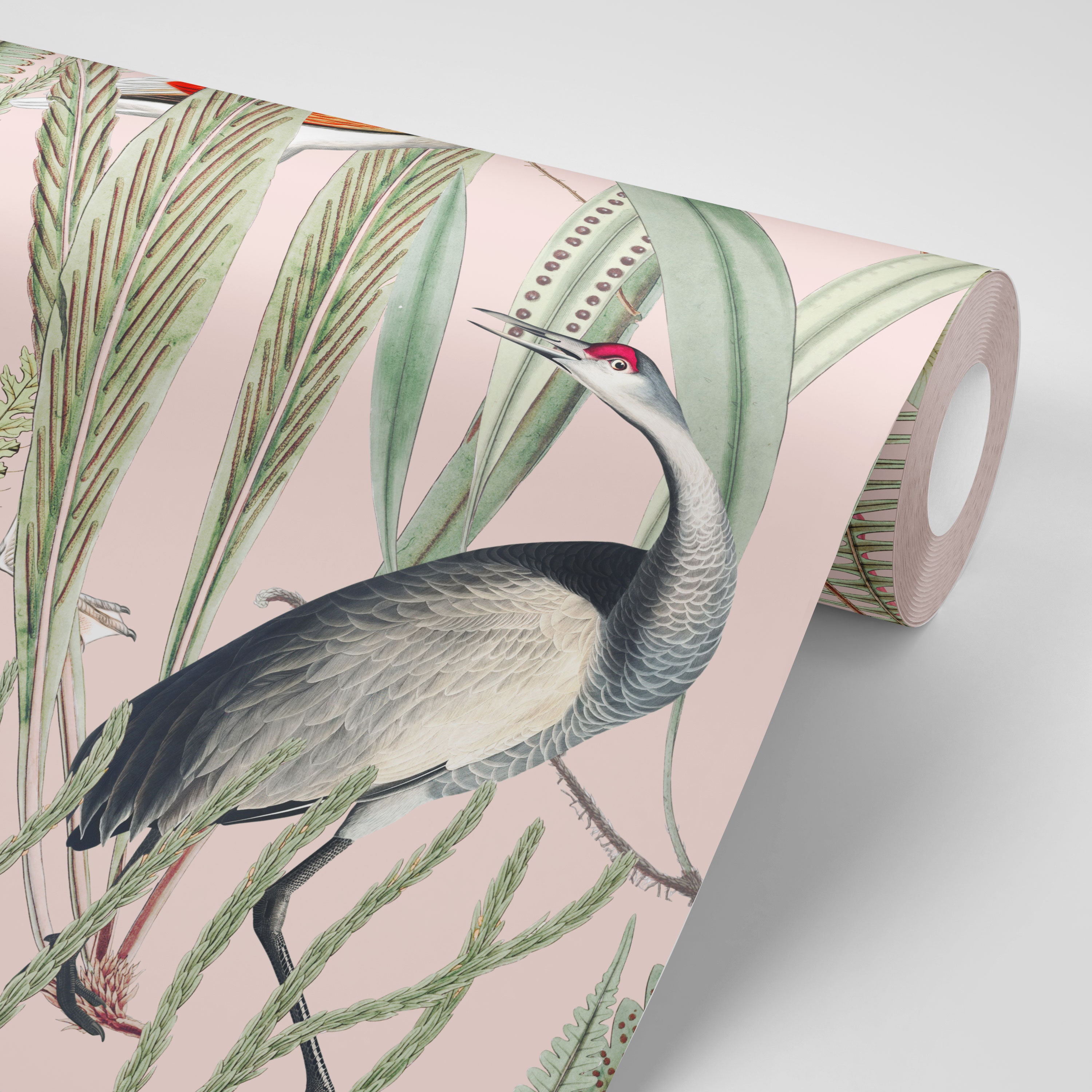 Equatorial Birds Wallpaper, Heron Wall Mural, Crane Wallpaper ...