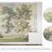 Timeless Scenic Wall Mural Vintage Forest Scene Wall Mural - Etsy
