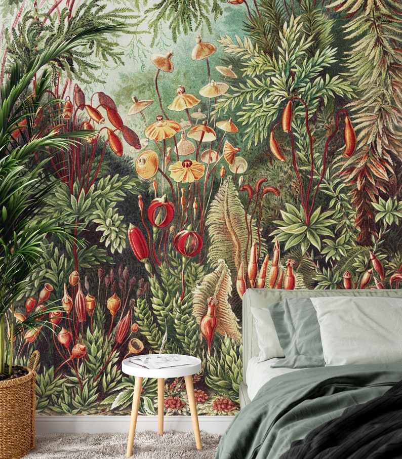 Muscinae Moss Art Forms by Ernst Haeckel Wall Mural Vintage - Etsy