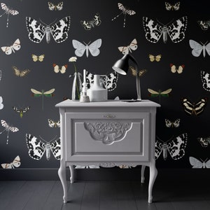 Vintage Butterflies and Moths on Dark Background Wall Mural, Butterfly ...