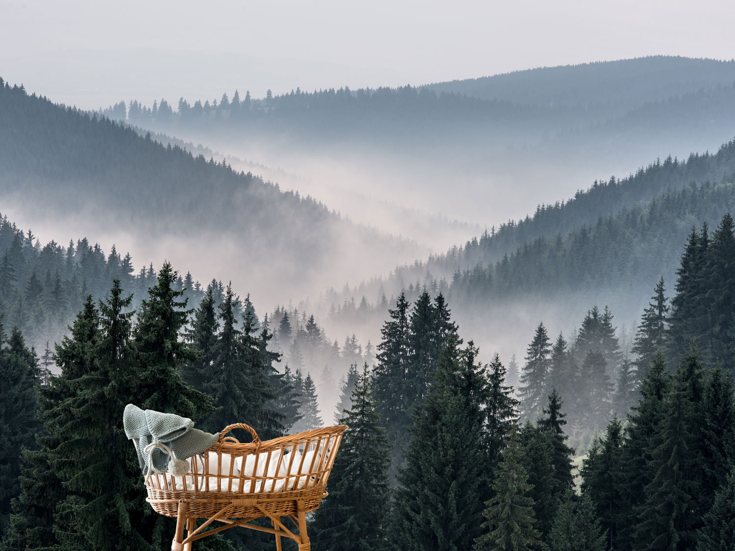 Forest Mountain Wall Mural Mountain View Mural Misty Forest - Etsy