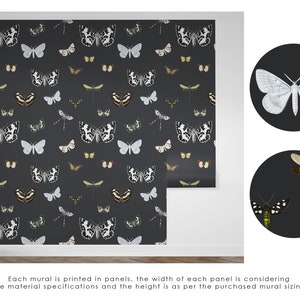 Vintage Butterflies and Moths on Dark Background Wall Mural, Butterfly ...