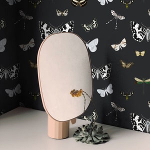 Vintage Butterflies and Moths on Dark Background Wall Mural, Butterfly ...