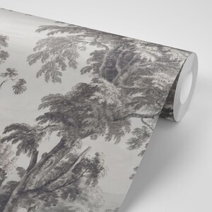 The Everlasting Landscape Wall Mural, Scenic Wall Mural, Vintage ...