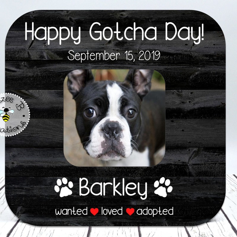 Happy Gotcha Day - Etsy