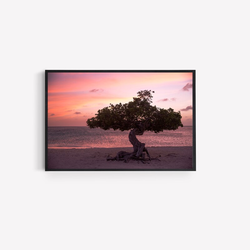 Divi Tree - Etsy