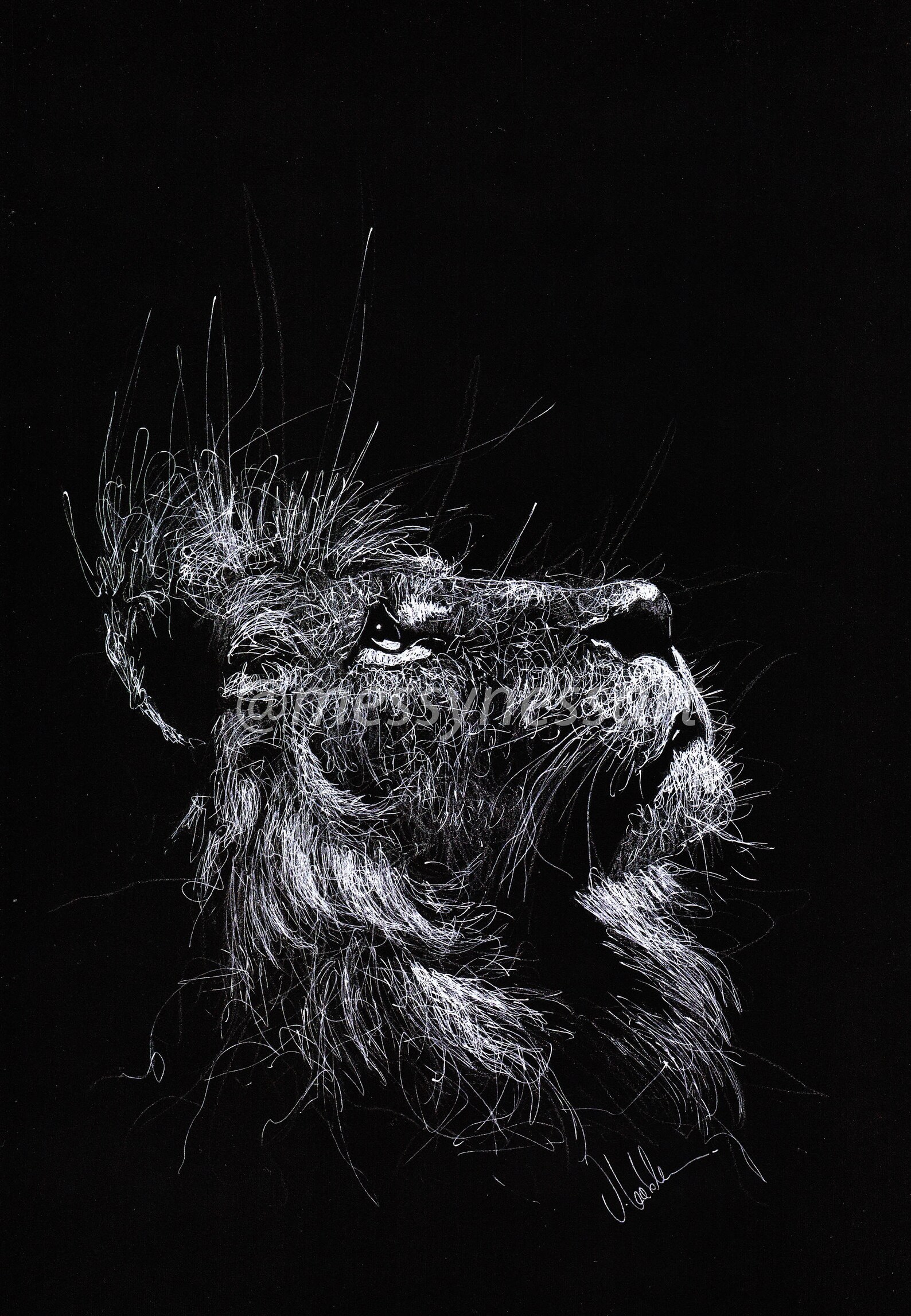 Lion Original Fine Art Print - Etsy