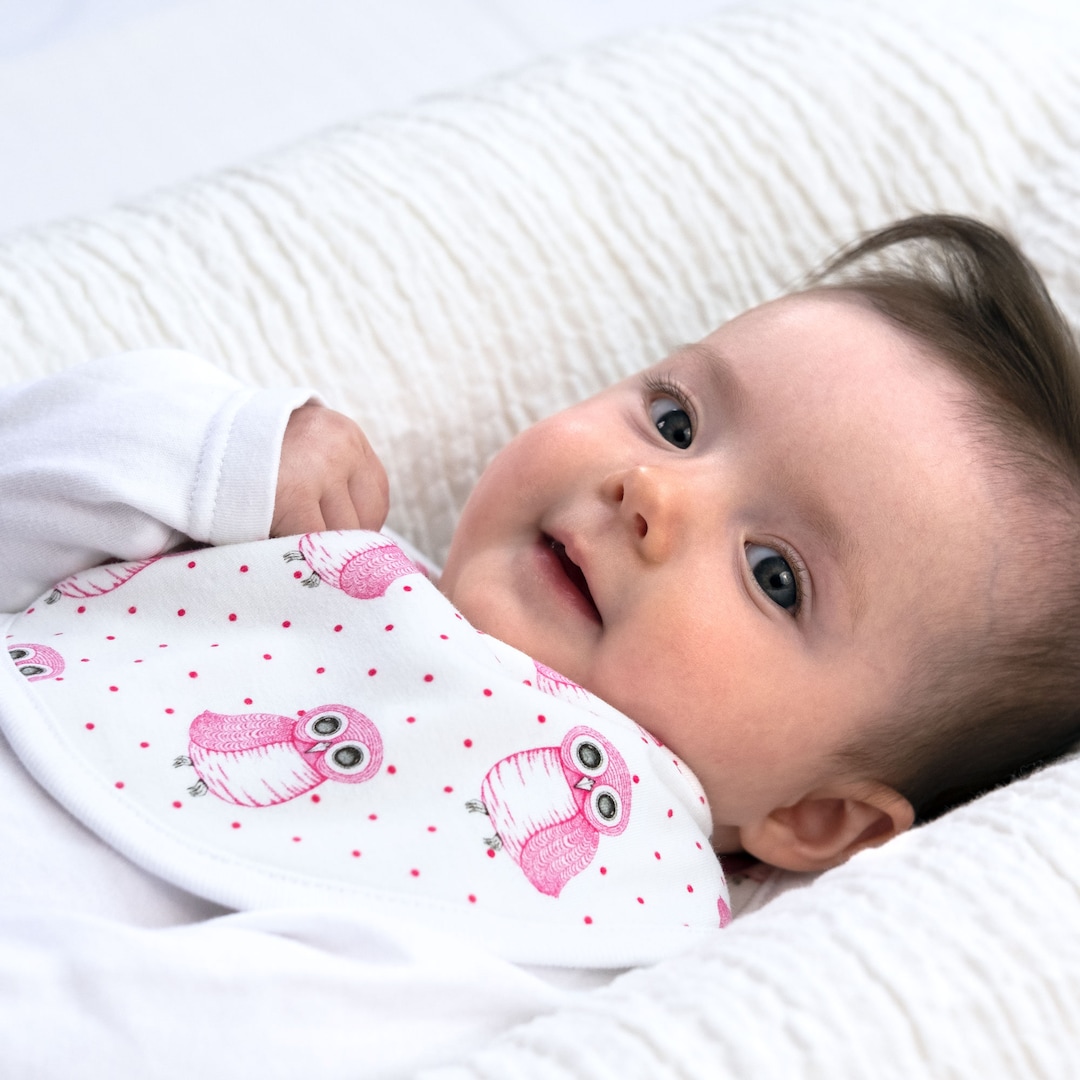 Owls Owl Bib Pink Bib Baby Bib Bandana Bib Drool Bib - Etsy UK