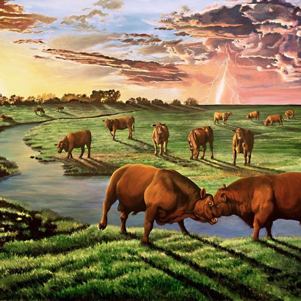 Angus Cattle Canvas - Etsy