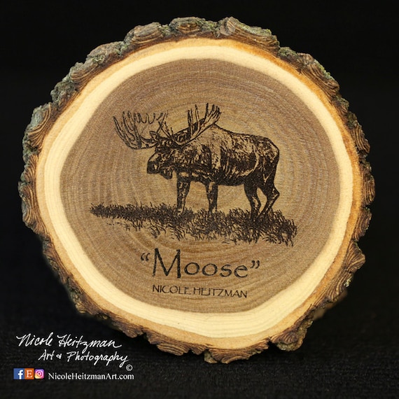 Dad Moose