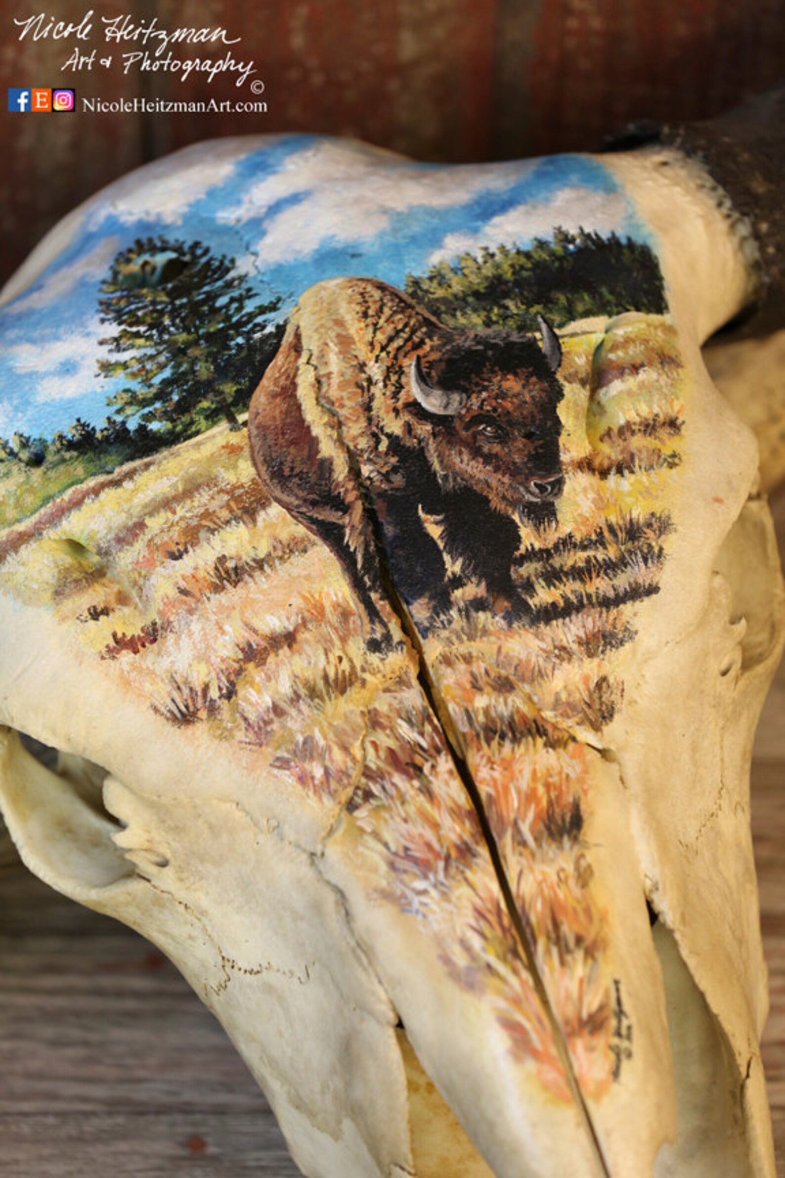 Painted Buffalo Skull Buffalo Art Original Acrylic Painting - Etsy