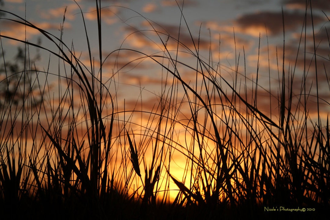 Prairie Grass Sunset Photography Photo Print Gift for Mom Birthday Gift ...