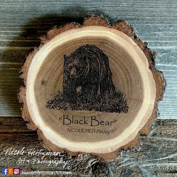 Bear Coasters - Etsy
