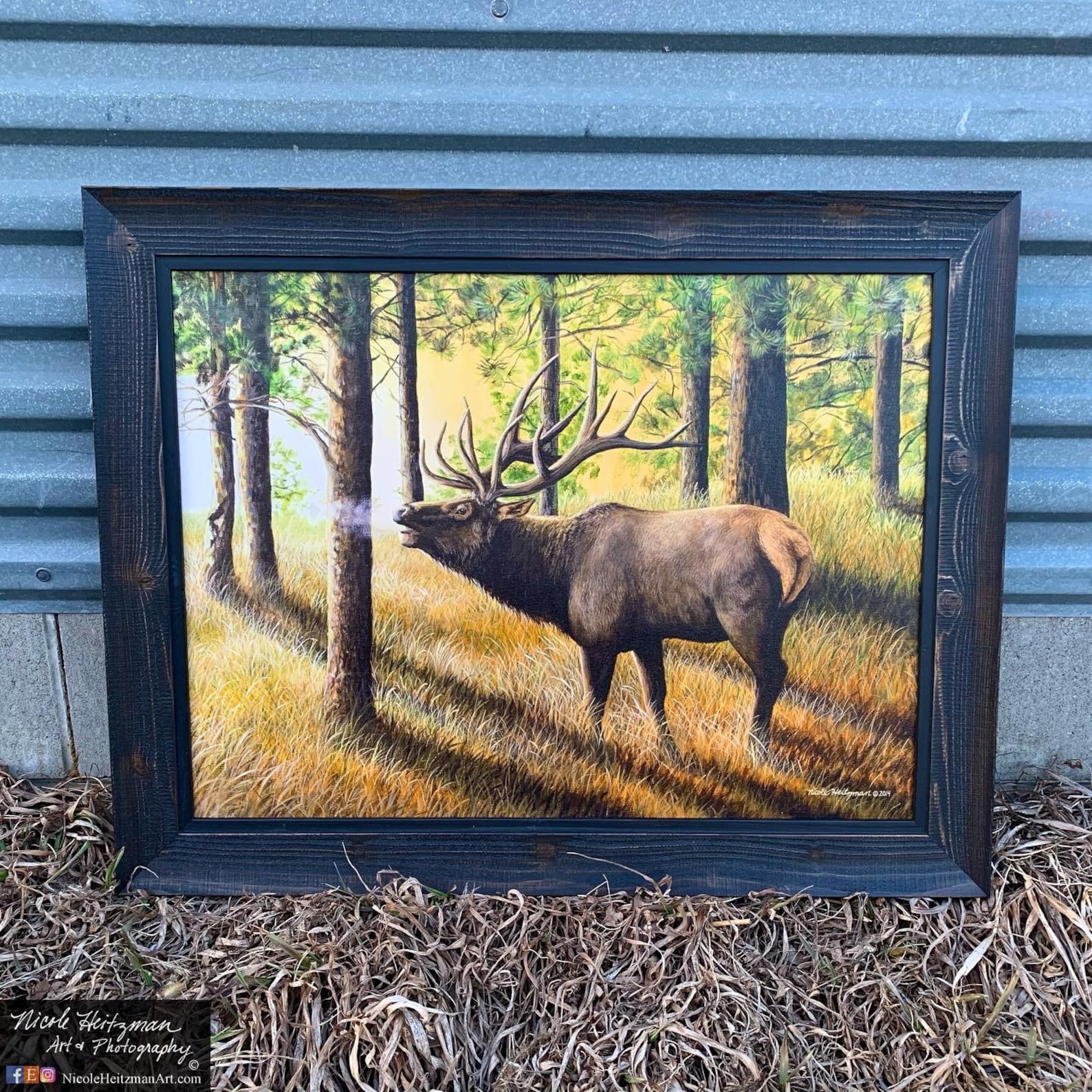Elk Print Evening Echoes Elk Art Elk Painting Elk Hunting Giclee Canvas ...