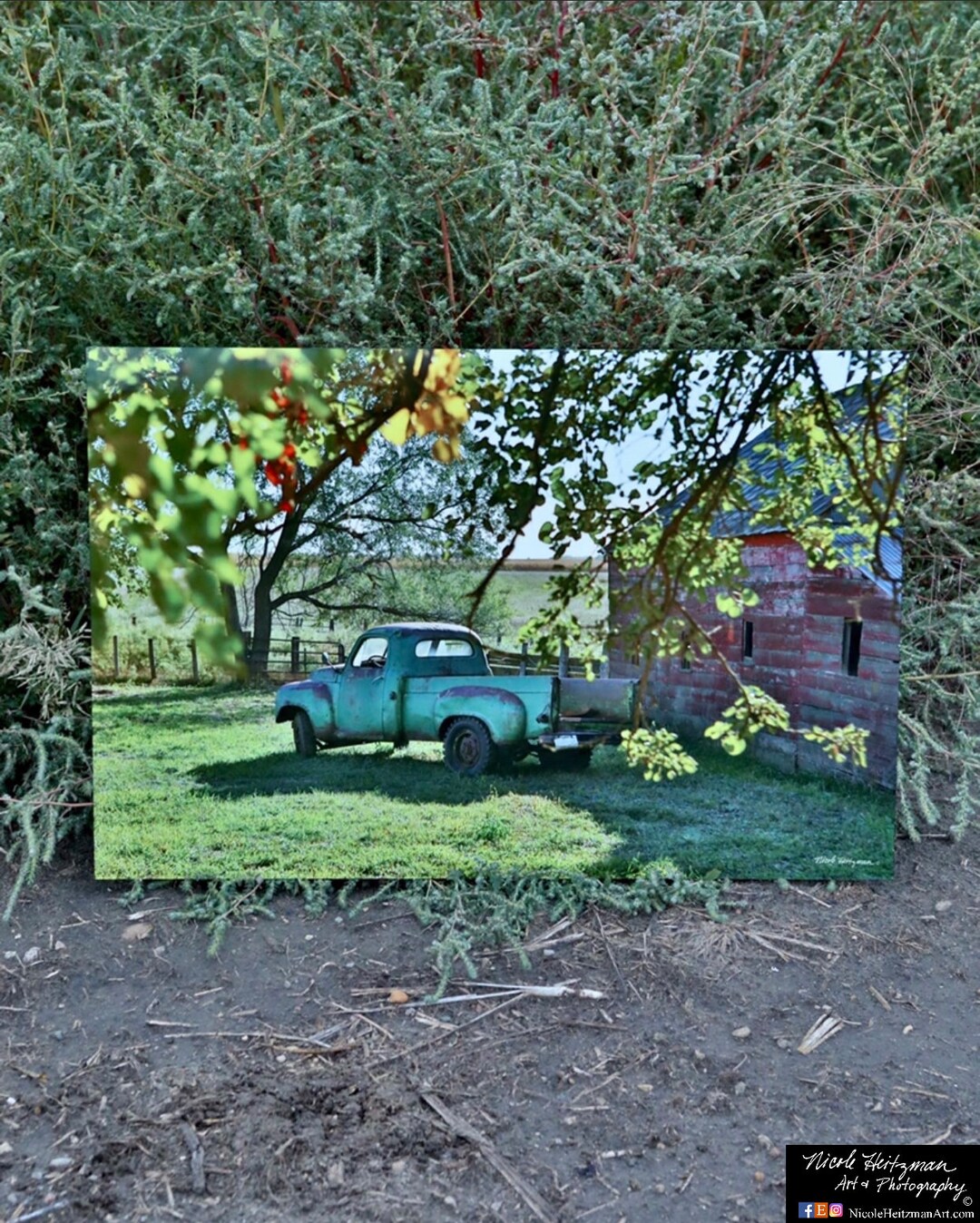 Studebaker Old Truck Fall Country Farm Scenery Barn South Dakota Metal ...