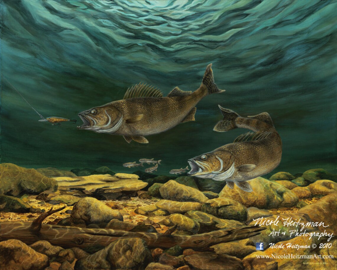 Anticipated Catch Walleye Print Fish Art Walleye Painting Gift for Dad ...