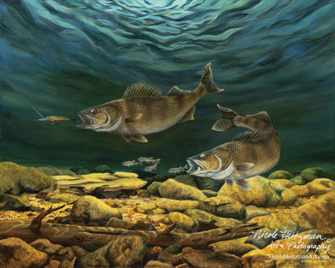 Anticipated Catch Walleye Print Fish Art Walleye Painting Gift for Dad ...