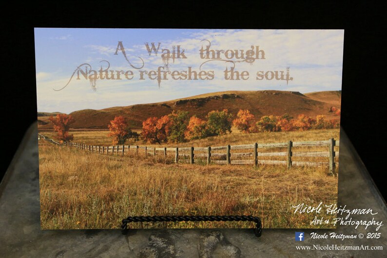 Custer State Park Photo Fall Photo Fall Photography Black Hills Nature ...