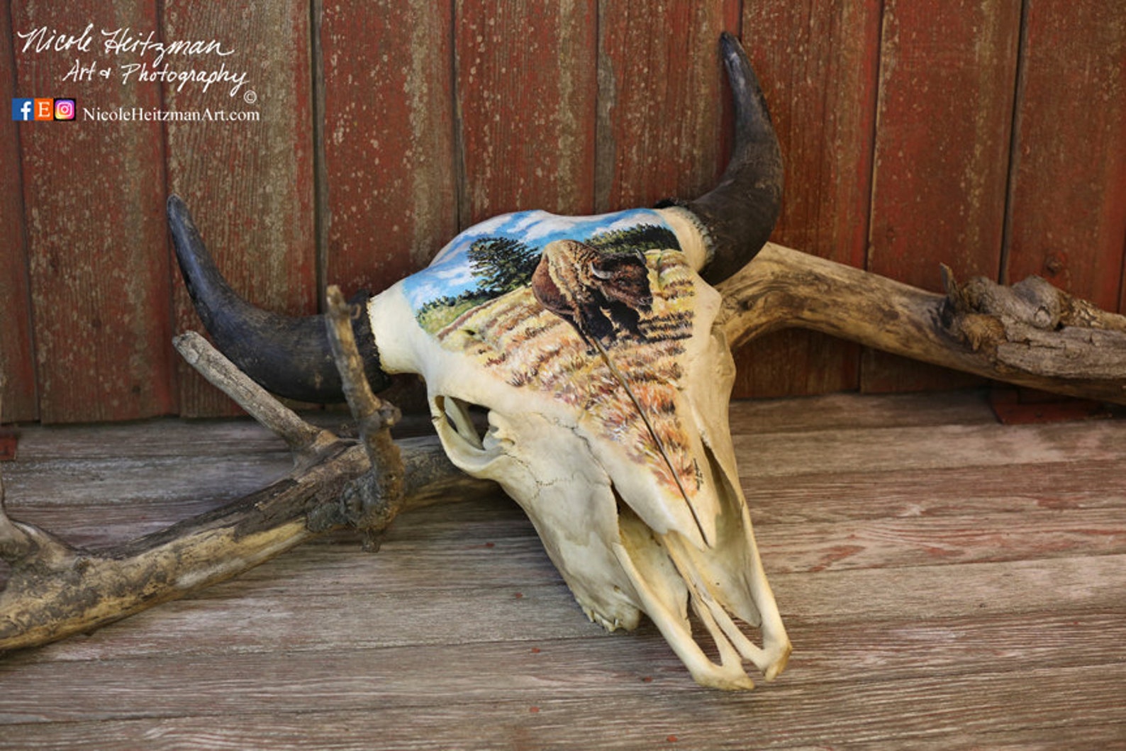 Painted Buffalo Skull Buffalo Art Original Acrylic Painting - Etsy