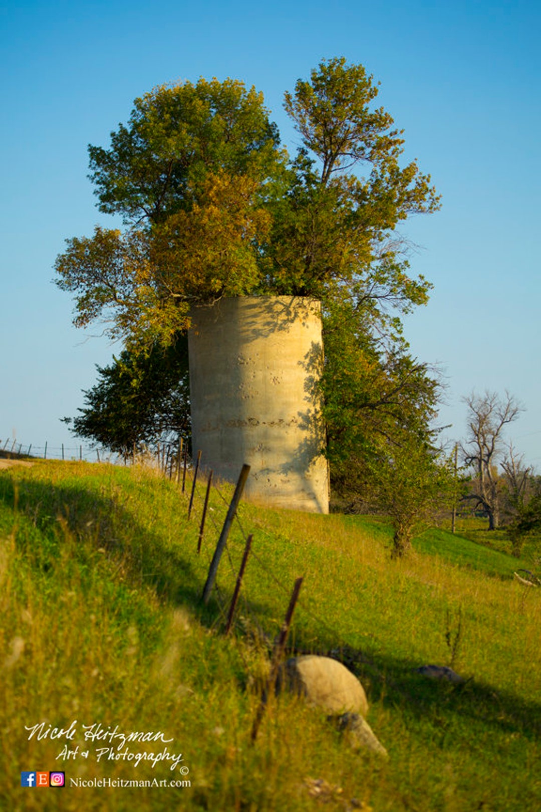 Silo Photography Country Tree Scenery Unique Structures Canvas Print ...