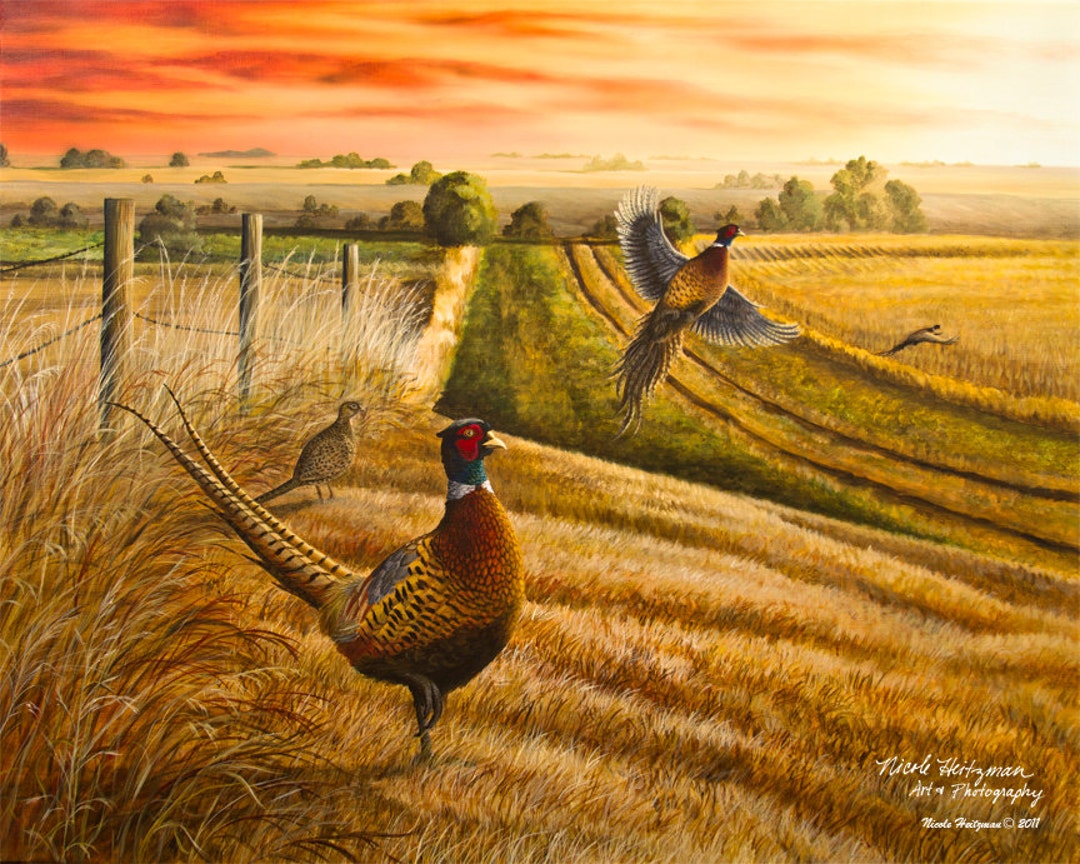 Gift for Dad Pheasant Print Pheasant Art Pheasant Painting Pheasant ...