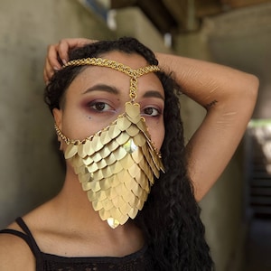 Scale Mail Face Mask, Flashy Elegant Covid Gear, Clad in Armor, Dragon ...