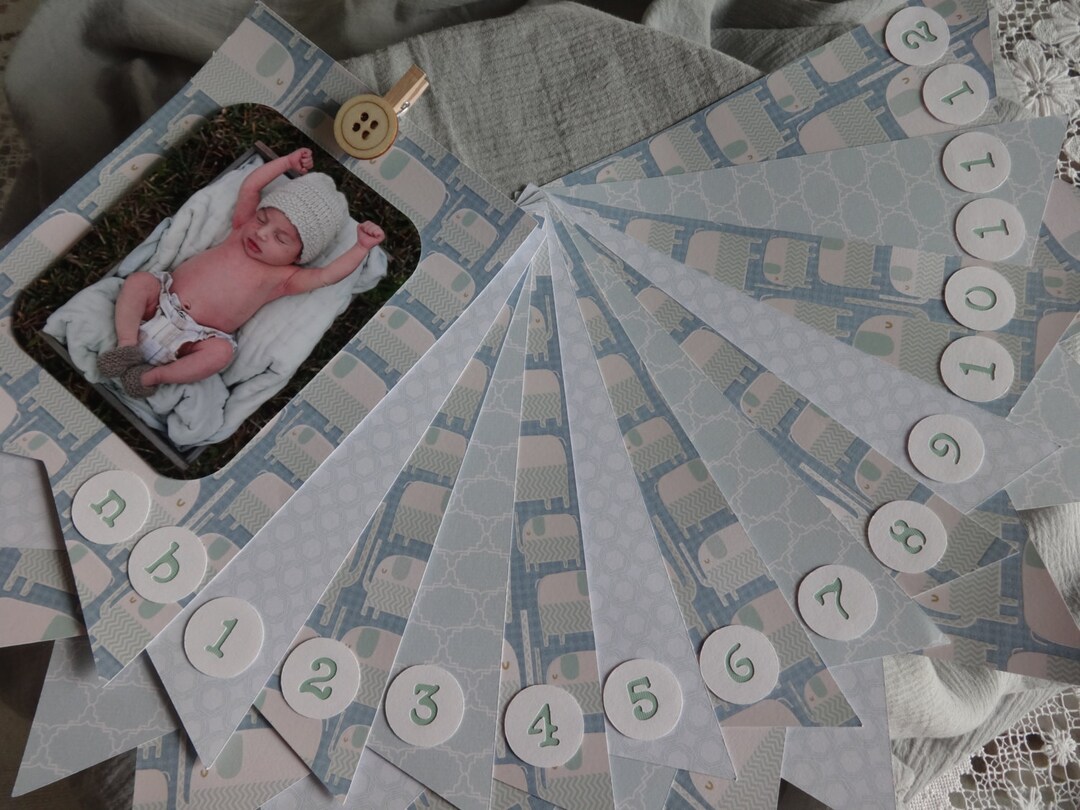 First 1st Year Birthday Photo Banner Garland Bunting Swag Birthday Baby ...