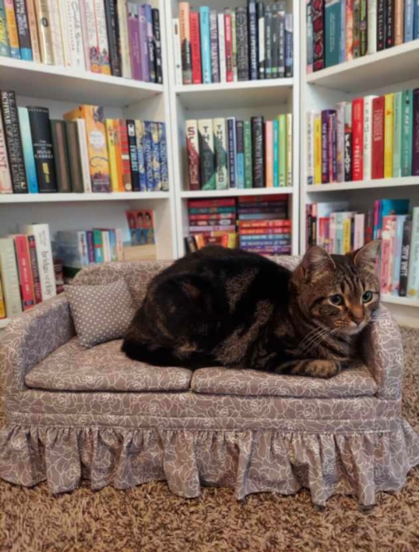 Kitty Couch Pattern - PDF - Etsy