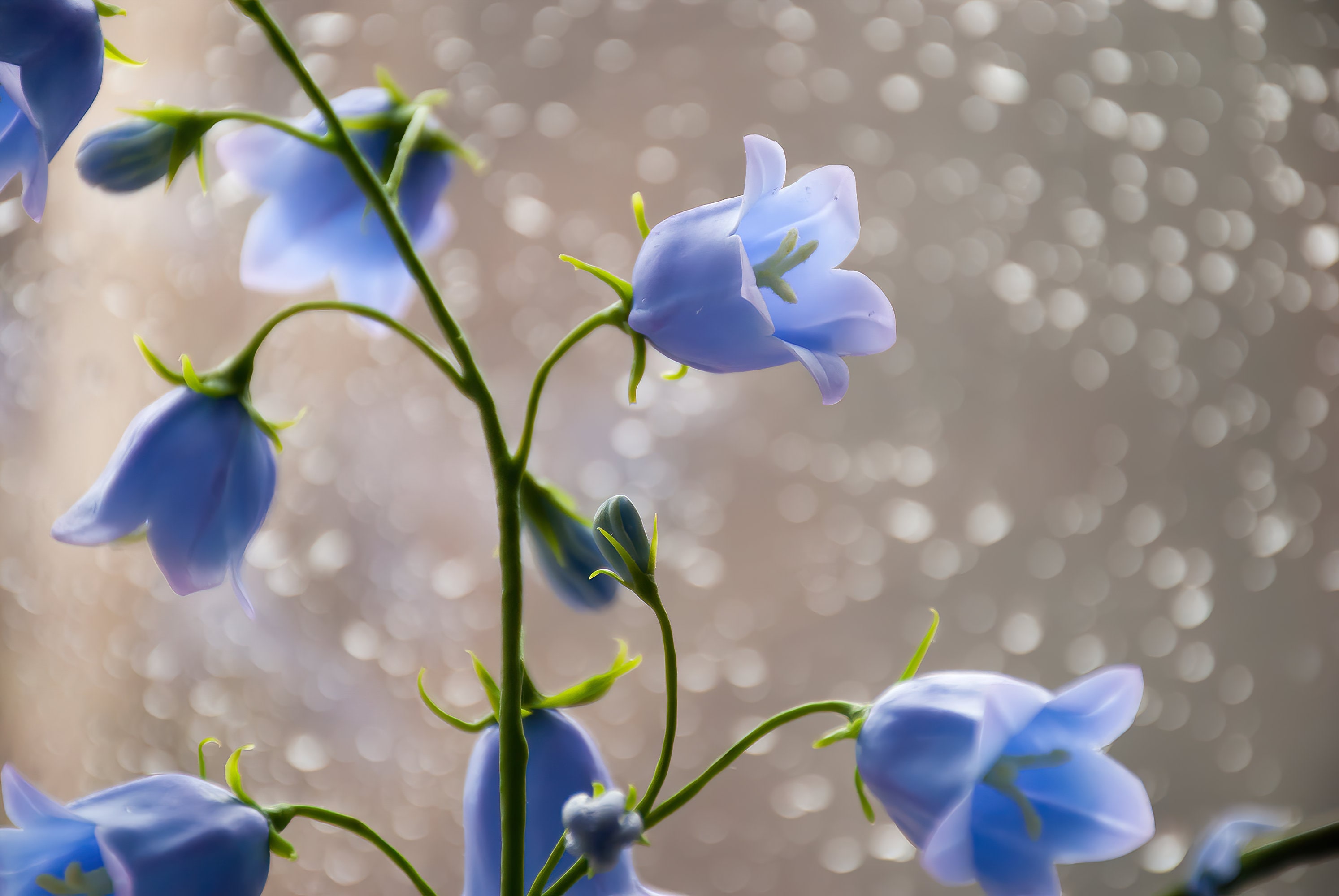 Artificial Bluebells for Home Decoration, Fake Bell Flowers ...