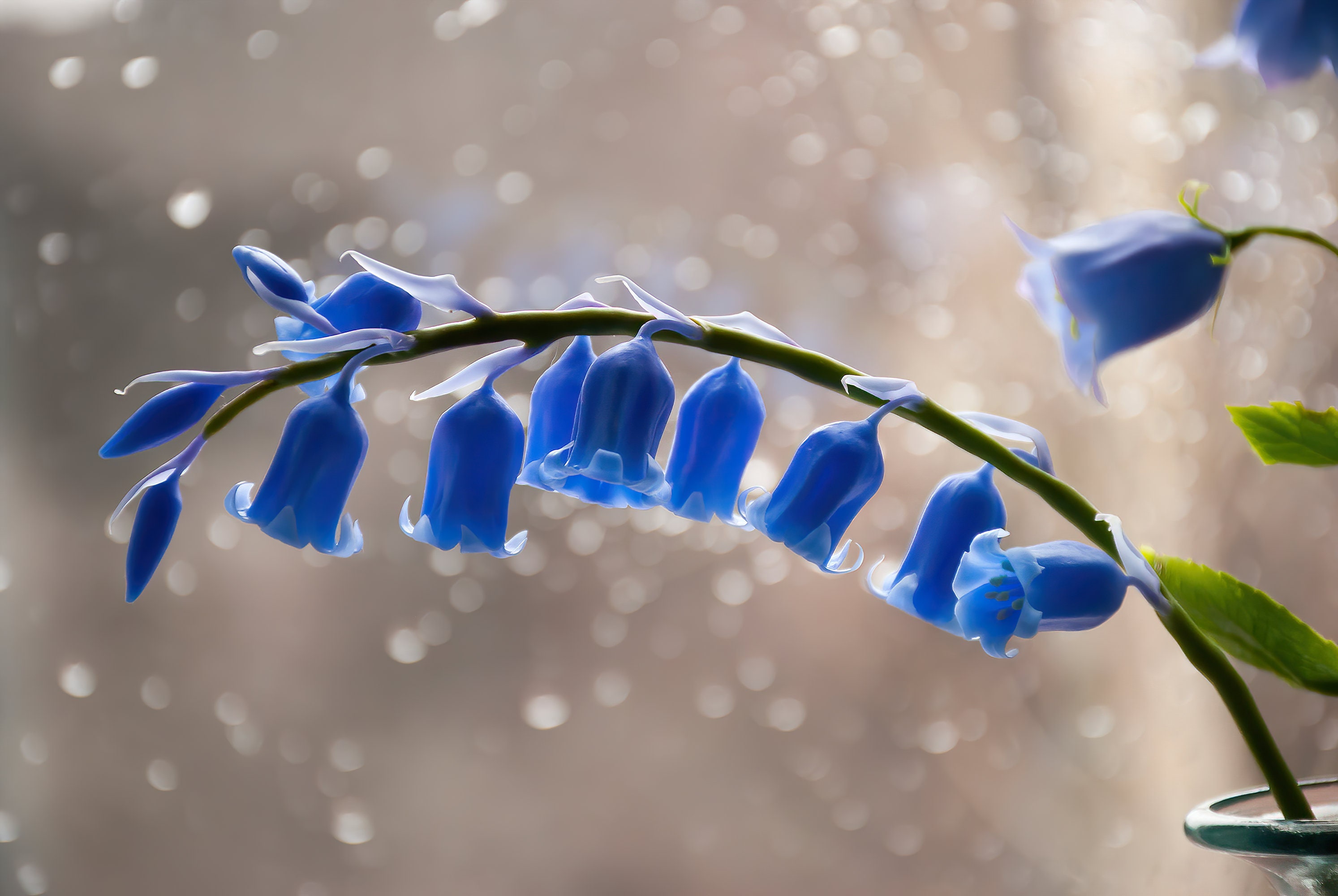 Artificial Bluebells for Home Decoration, Fake Bell Flowers ...