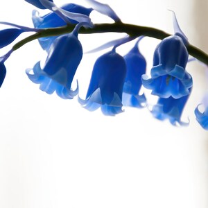 Artificial Bluebells for Home Decoration, Fake Bell Flowers ...