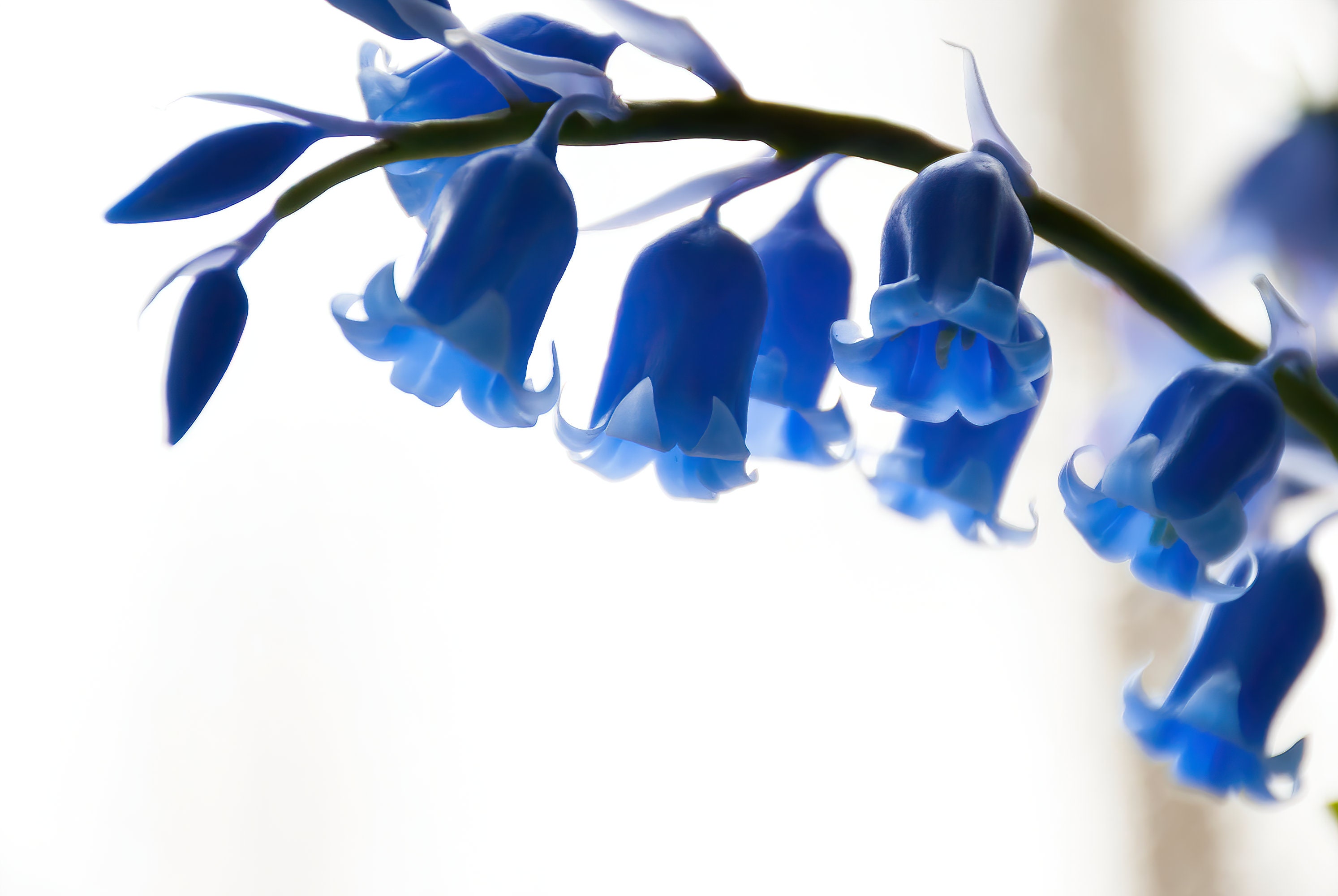Artificial Bluebells for Home Decoration, Fake Bell Flowers ...