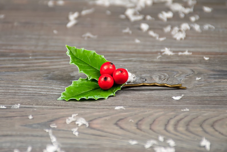 Holly brooch pin holly berries Xmas accessories Christmas | Etsy