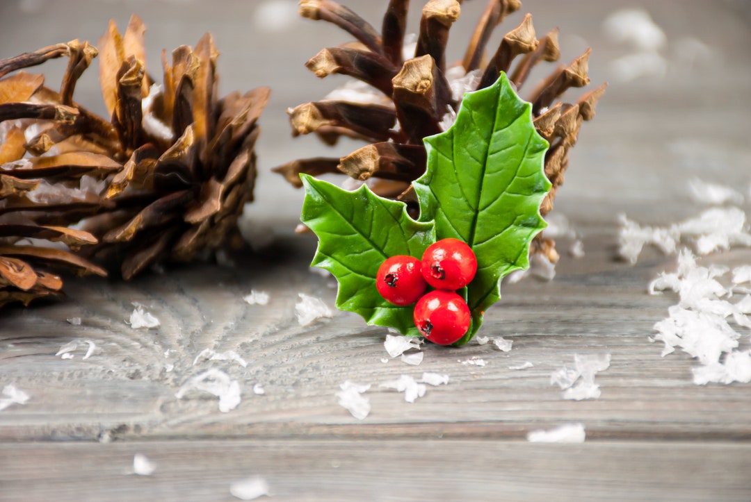 Holly Brooch Pin, Holly Berries Xmas Accessories, Christmas Boutonniere ...