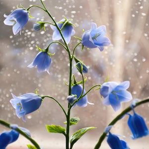 Artificial Bluebells for Home Decoration, Fake Bell Flowers ...