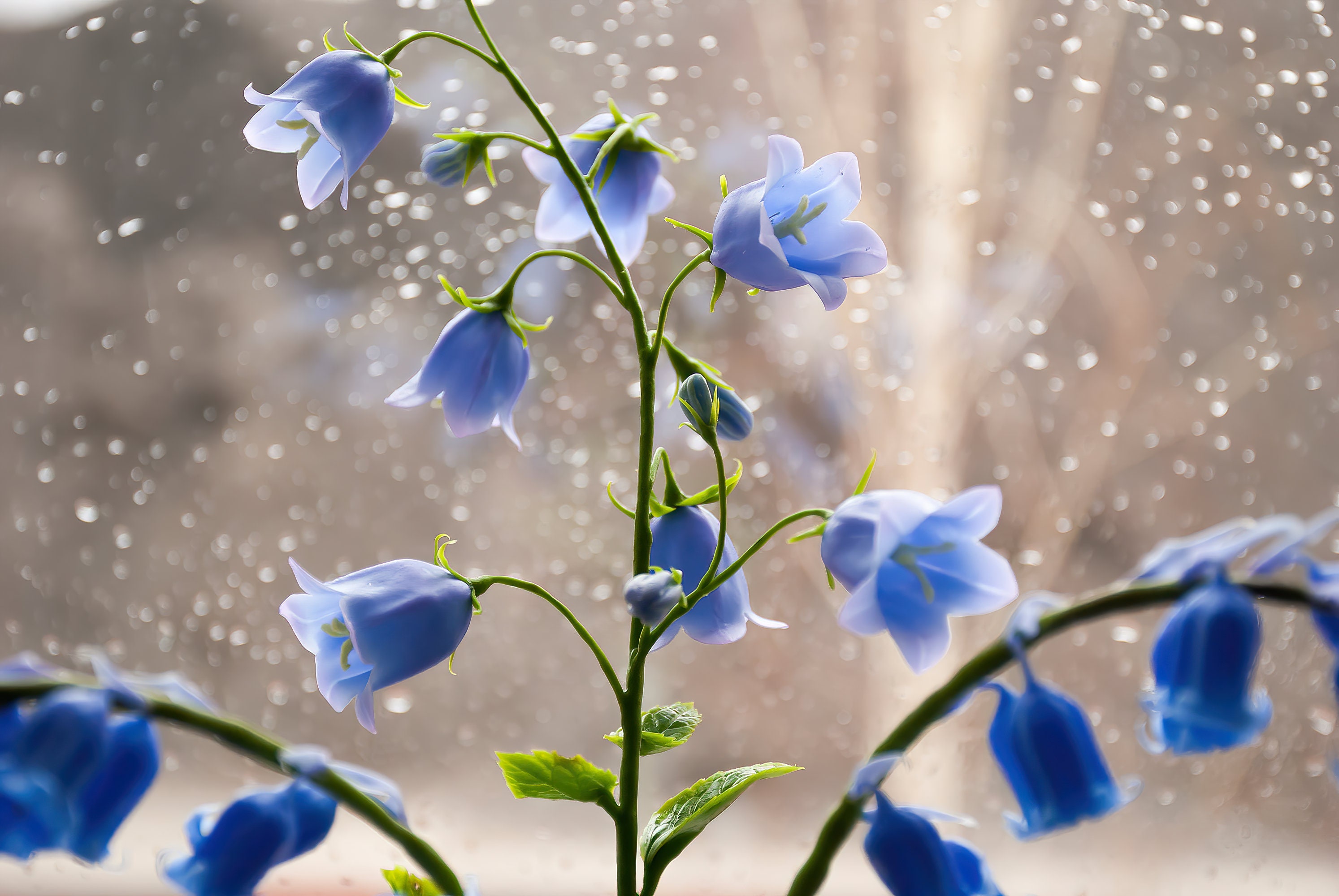 Artificial Bluebells for Home Decoration, Fake Bell Flowers ...