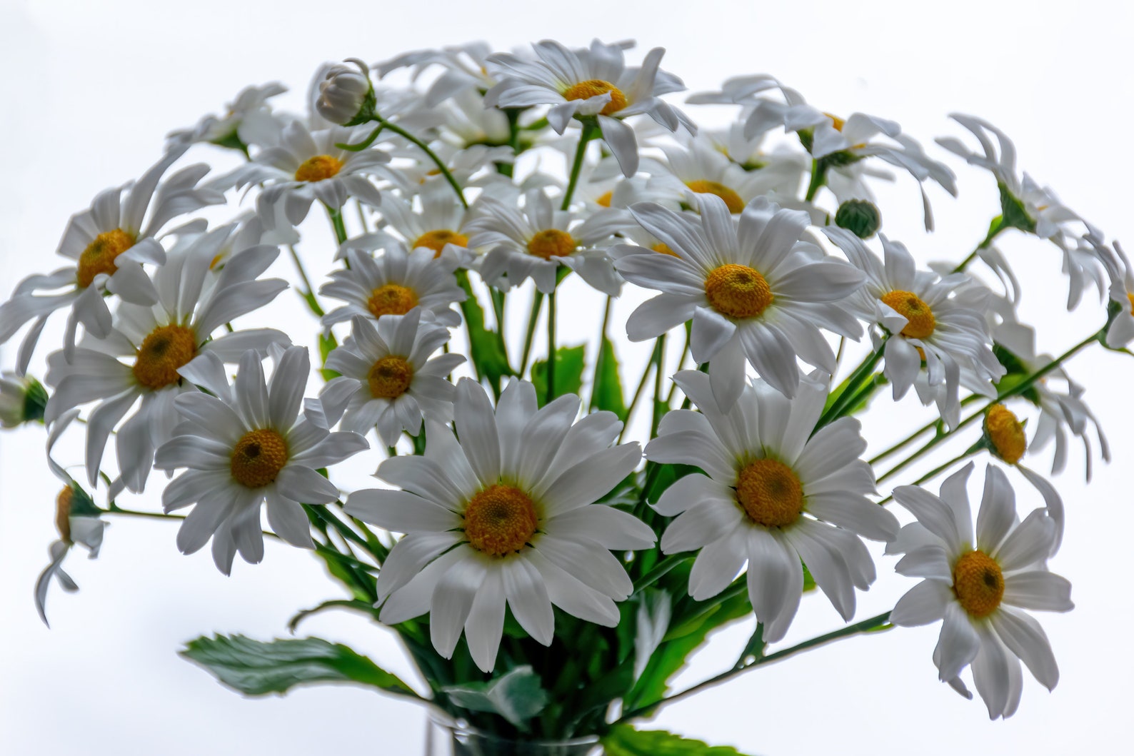 Daisy Flowers Arrangements for Home Artificial Wildflowers of - Etsy