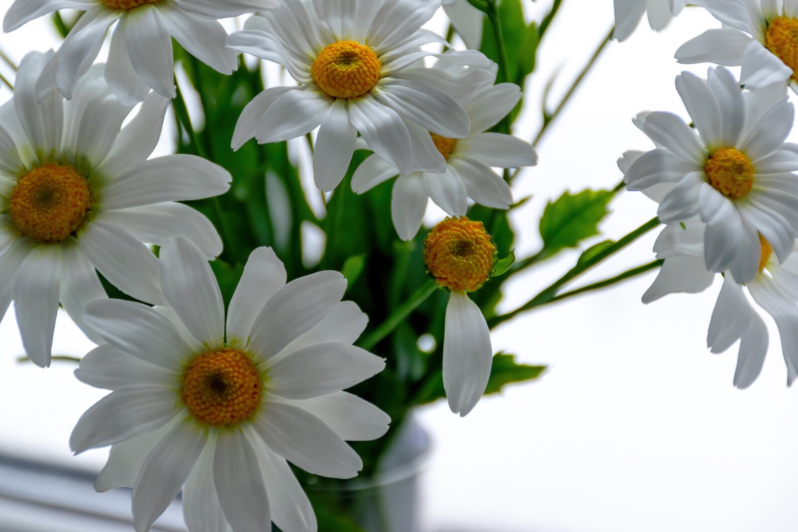 Daisy Flowers Arrangements for Home Artificial Wildflowers of - Etsy