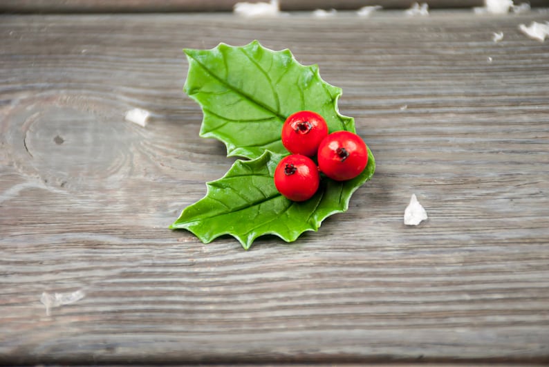 Holly brooch pin holly berries Xmas accessories Christmas | Etsy