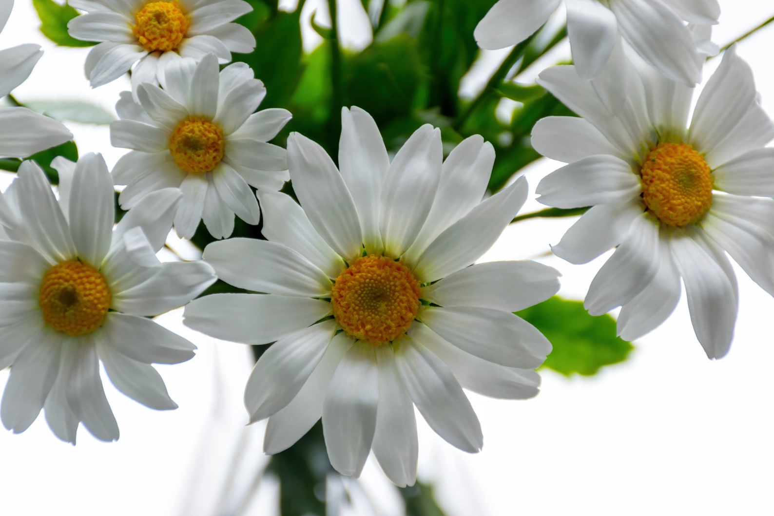 Daisy Flowers Arrangements for Home Artificial Wildflowers of - Etsy