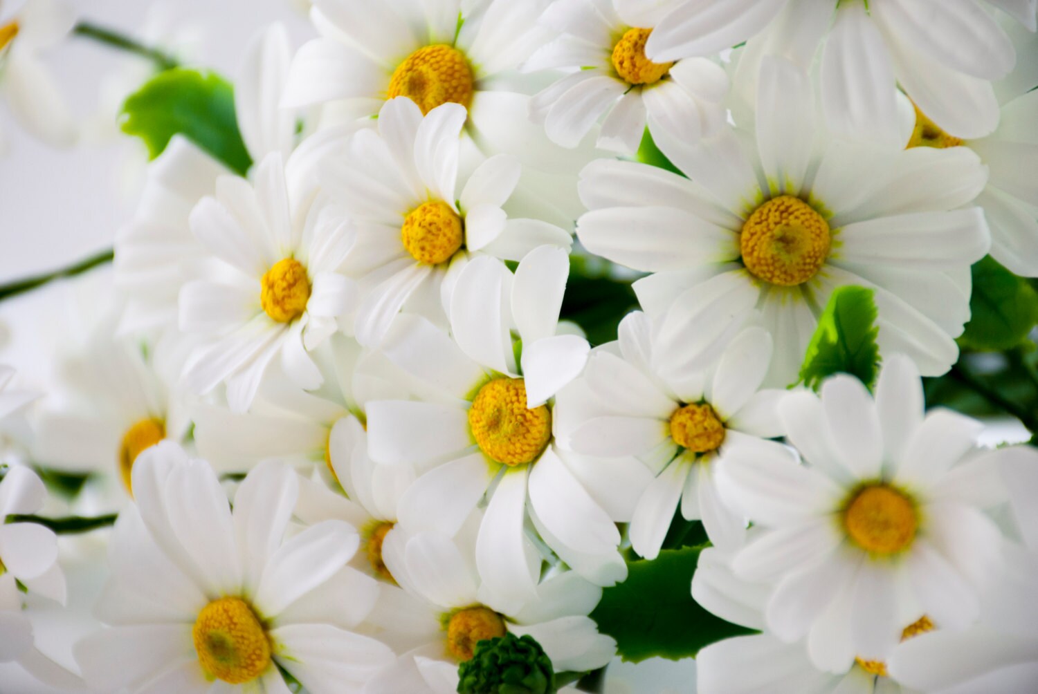 Daisy flowers arrangements for home artificial wildflowers of | Etsy