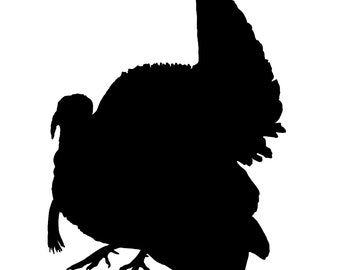Strutting turkey | Etsy