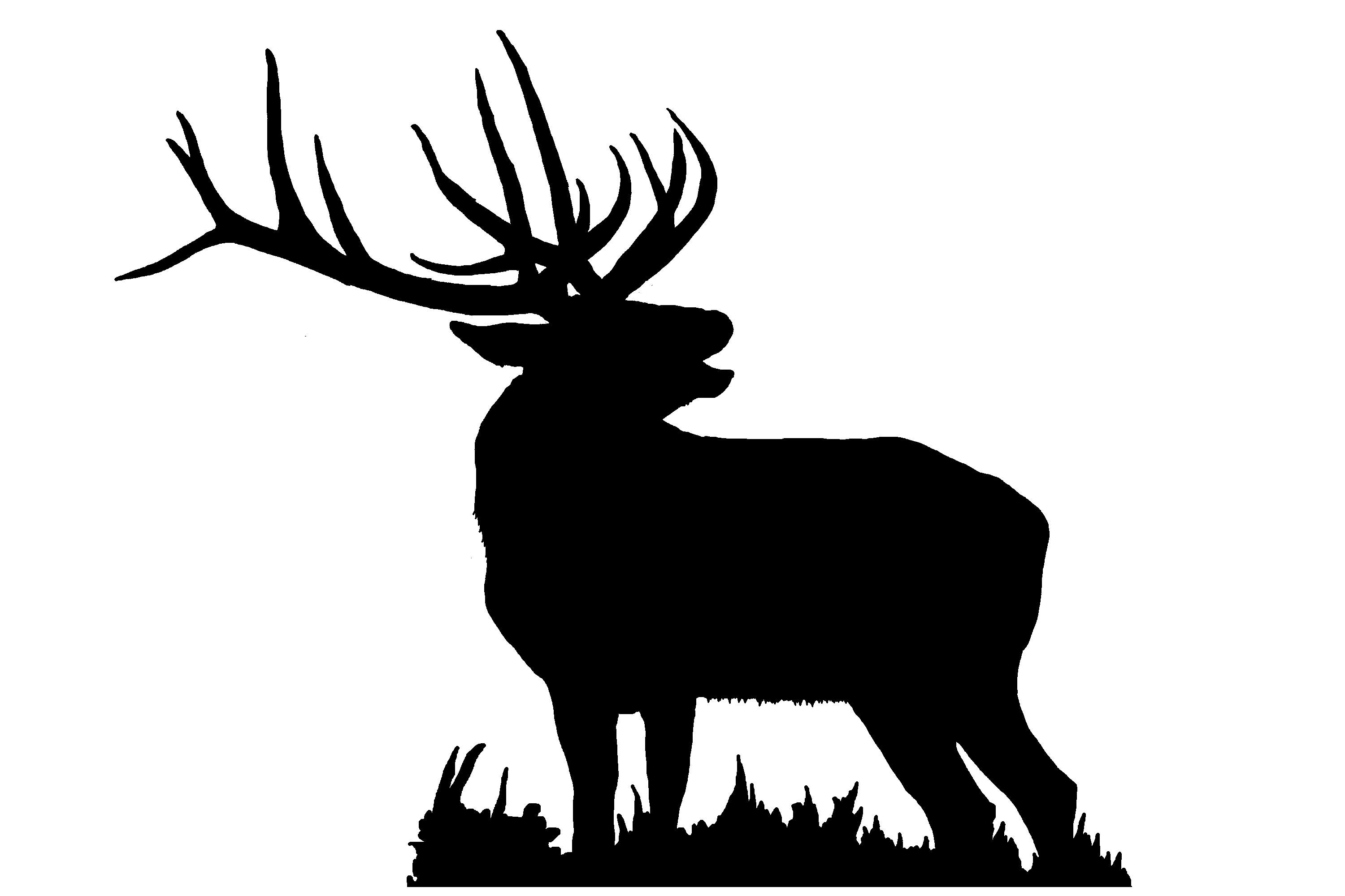 Bull Elk Bugling Silhouette