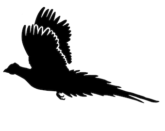 Pheasant Decal - Etsy