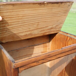 Antique Store Counter Peanut Candy Dispenser Wood Glass Display Case ...