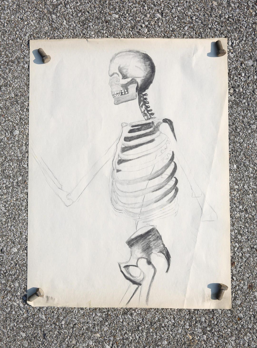 Vintage Antique Halloween Skeleton Hand Drawling Art Portfolio Artwork ...
